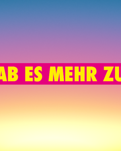 FDP Schleswig-Holstein